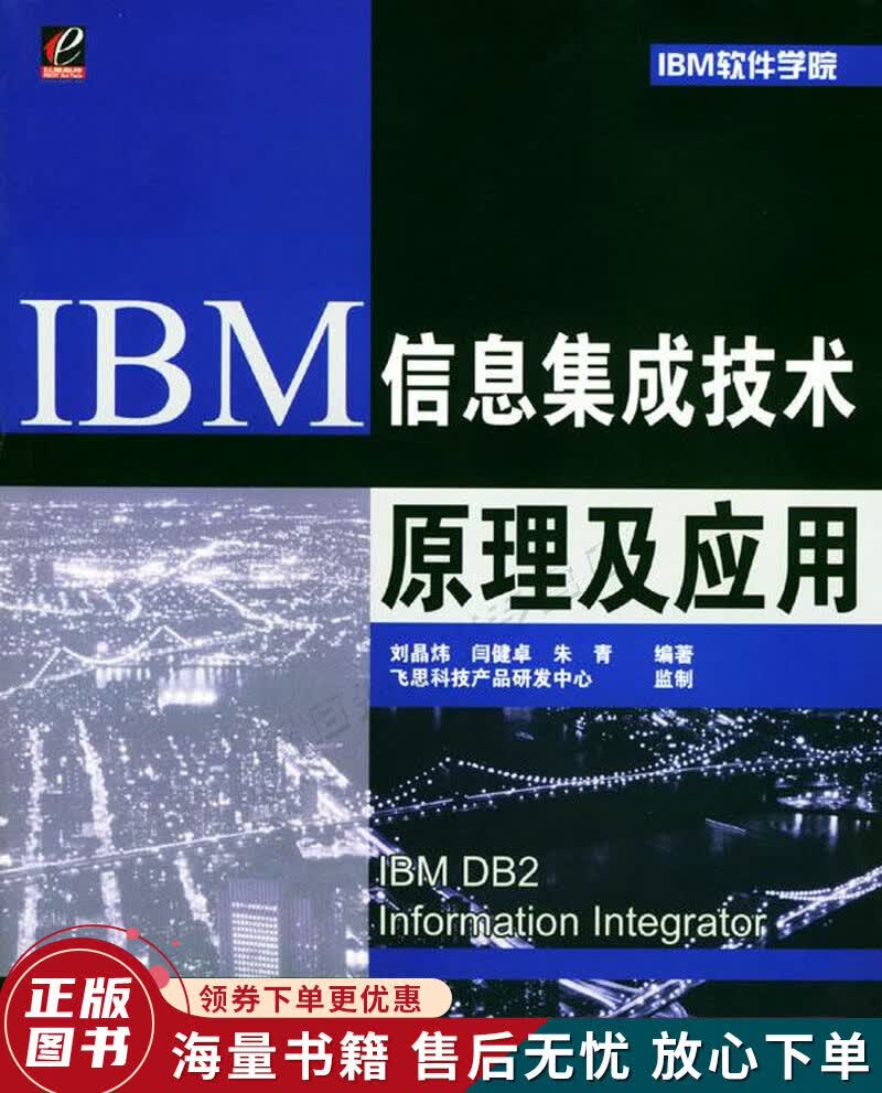 IBM信息集成技术原理及应用
