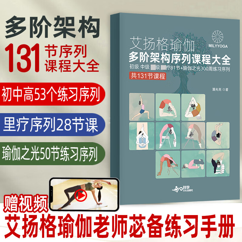 艾扬格瑜伽多阶架构序列课程大全初中高理疗练习序列瑜伽之光课程