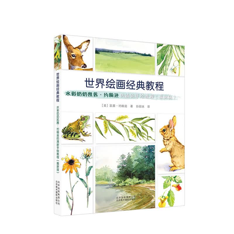 世界绘画经典教程 水彩奶奶凯茜·约翰逊的清新手绘教程 中信书店