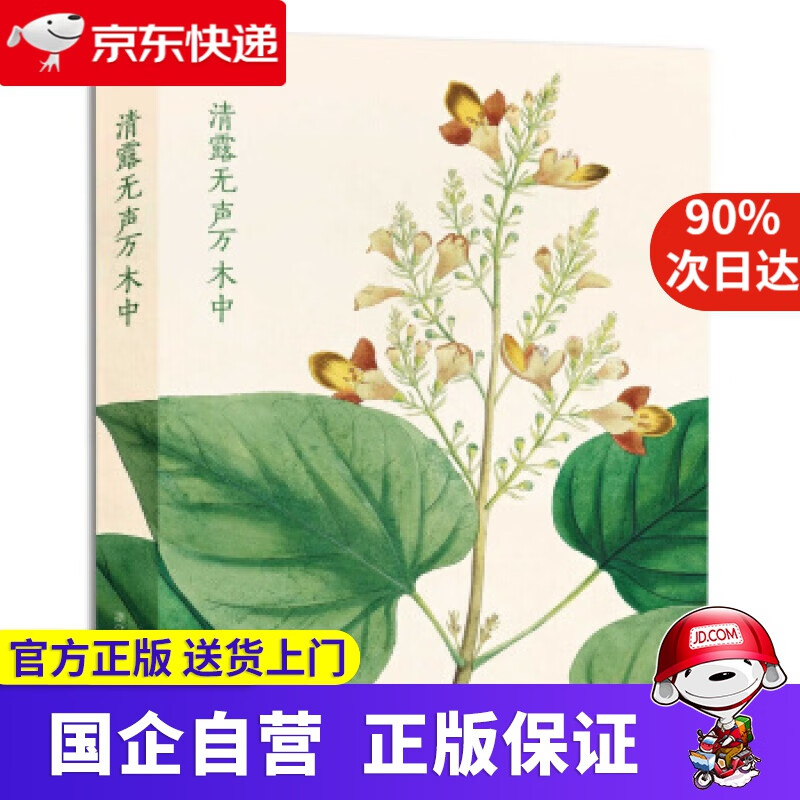 清露无声万木中（明信片） 出类艺术 编 浙江人民美术出版社 9787534054594
