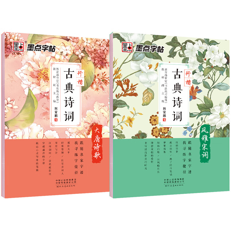 墨点字帖 古典诗词大唐诗歌风雅宋词荆霄鹏名师手写体 成人大学生漂亮字行楷练习字帖