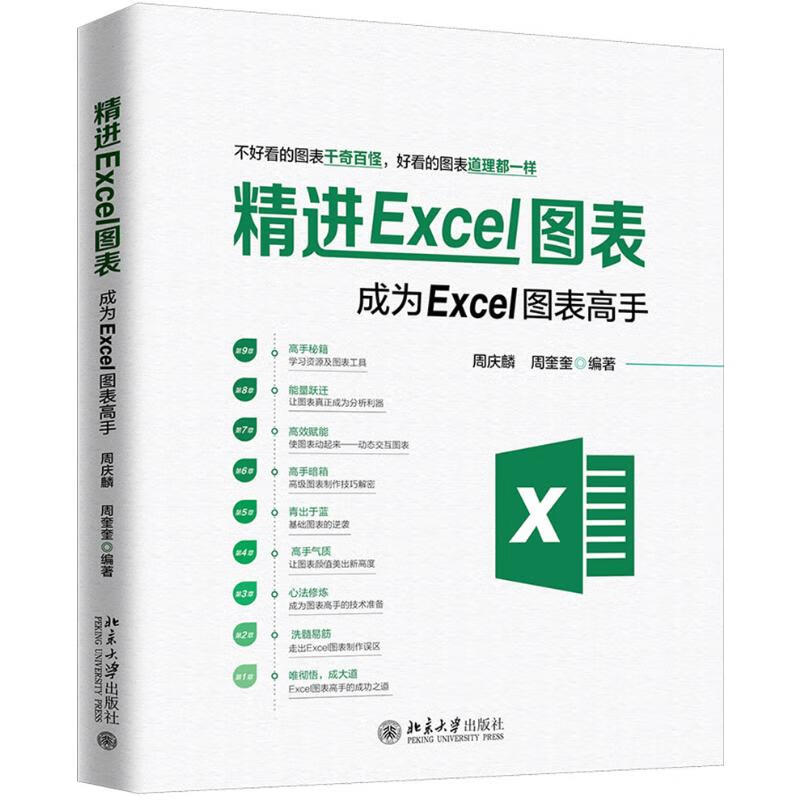 精进EXCEL图表:成为EXCEL图表高手 图书