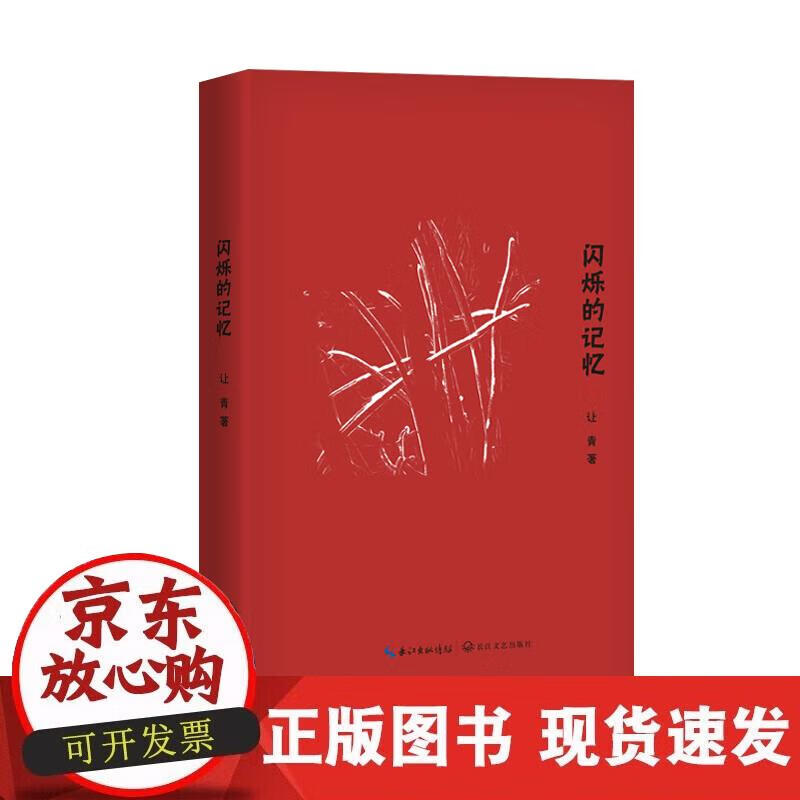 【现货】闪烁的记忆