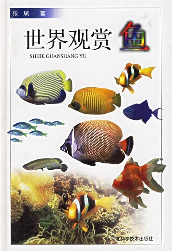 世界观赏鱼 张斌
