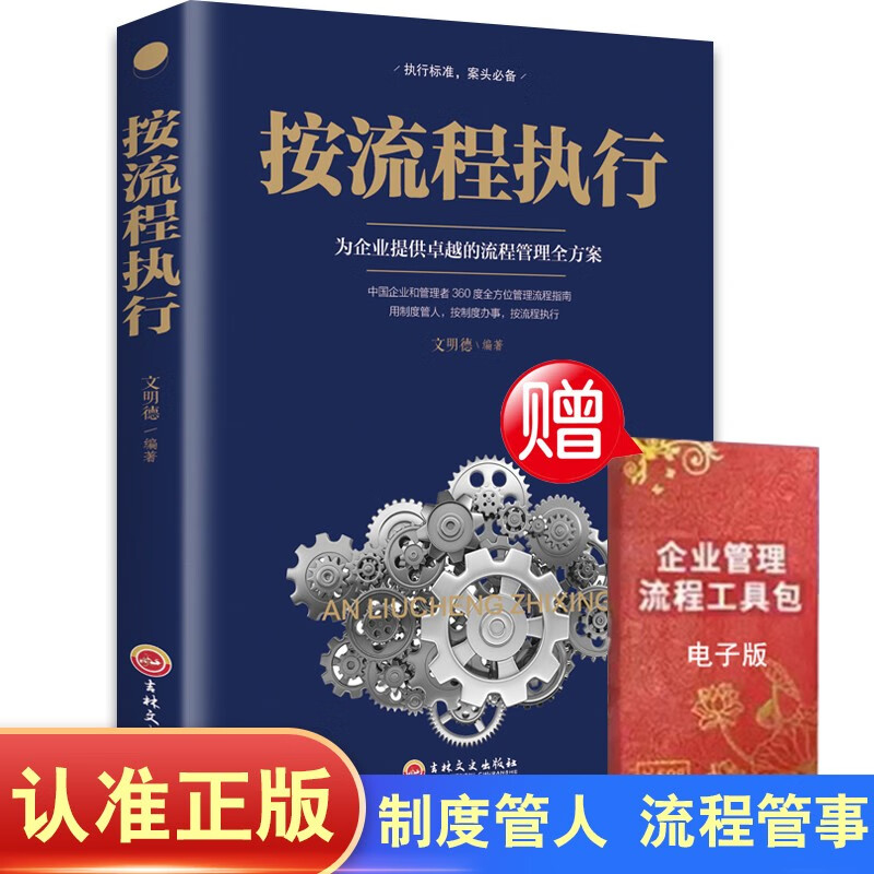 按流程执行+资料管理包 企业规范化管理 规范化管理推行实务执行标准卷 让中小公司经营回归简单狼性团队建设行政人事书籍