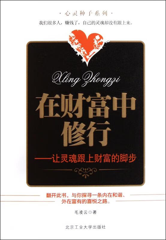 在财富中修行 让灵魂跟上财富的脚步9787563929016北京工业大学出版社