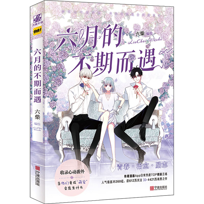 六月的不期而遇 图书