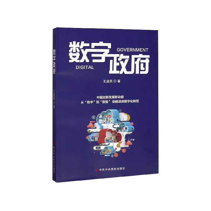 数字政府
