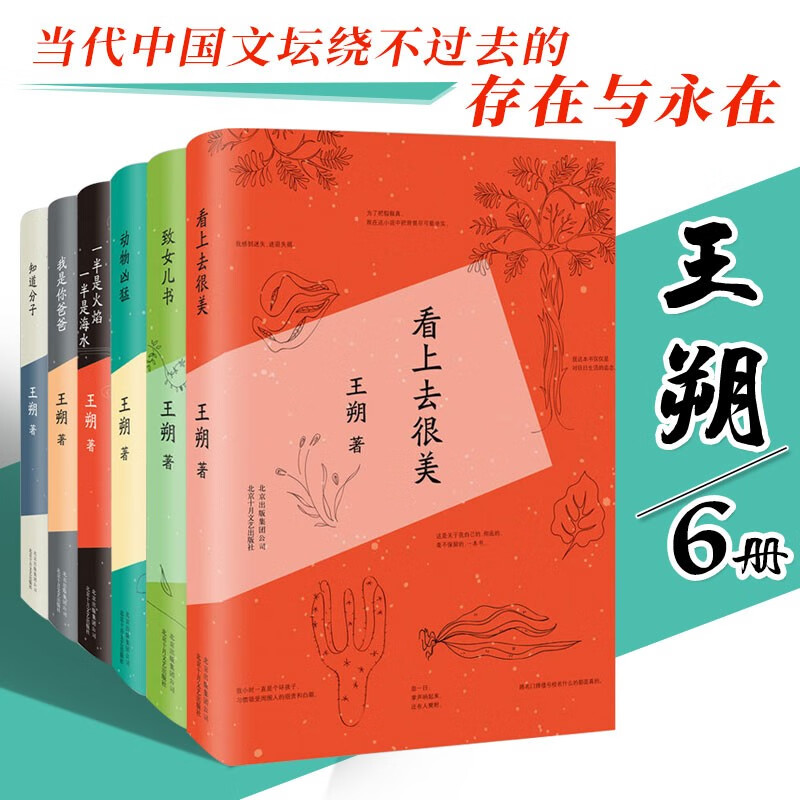 王朔作品文集全集6册 精装 看上去很美+动物凶猛+我是你爸爸+致女儿书+知道分子等 小说书文学书