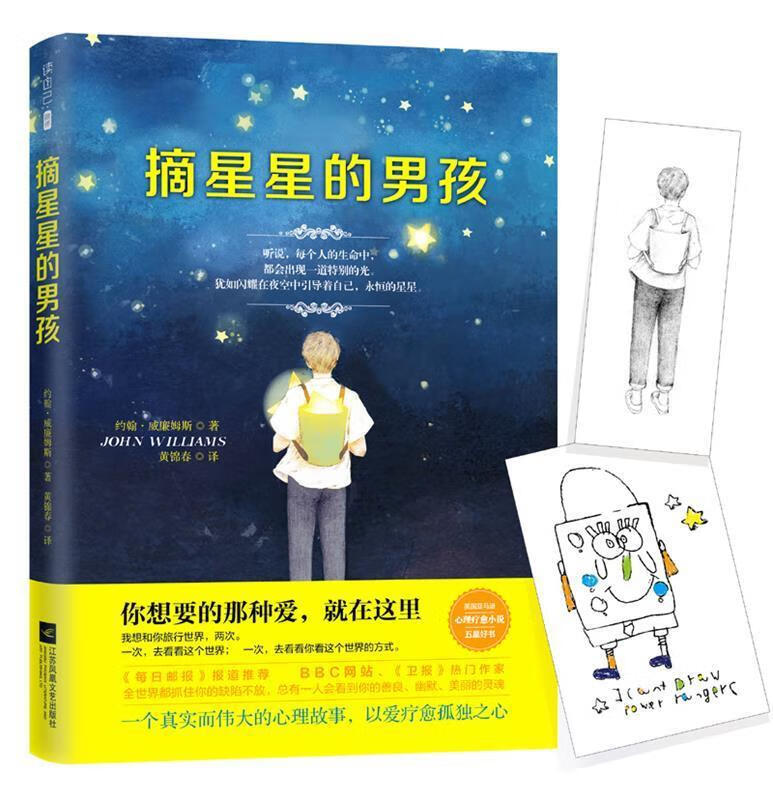 摘星星的男孩【好书，下单速发】