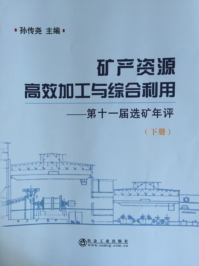 矿产资源高效加工与综合利用（下册）/ 孙传尧 第十一届选矿年评