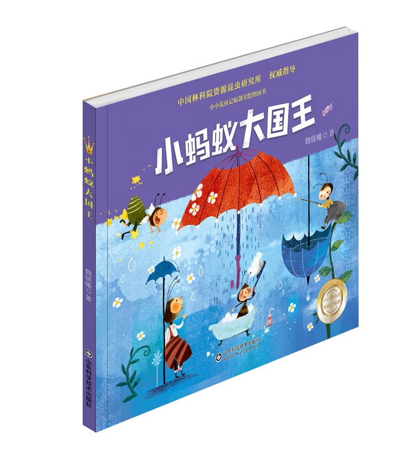 小蚂蚁大国王