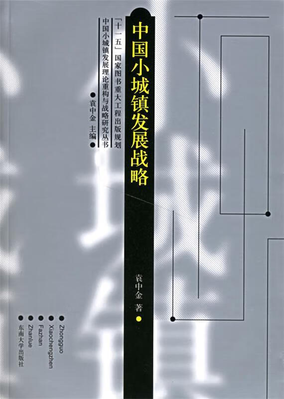 中国小城镇发展战略 袁中金 著