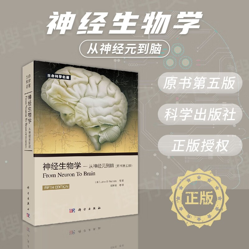 【经典著作】神经生物学从神经元到脑（原书第五版）第5版 尼克尔斯 杨雄里译 生命科学名著丛书神经细胞脑科学基础书籍神经医学 科学出版社