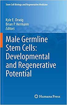 Male Germline Stem Cells: Developmental and Regenerative Potential