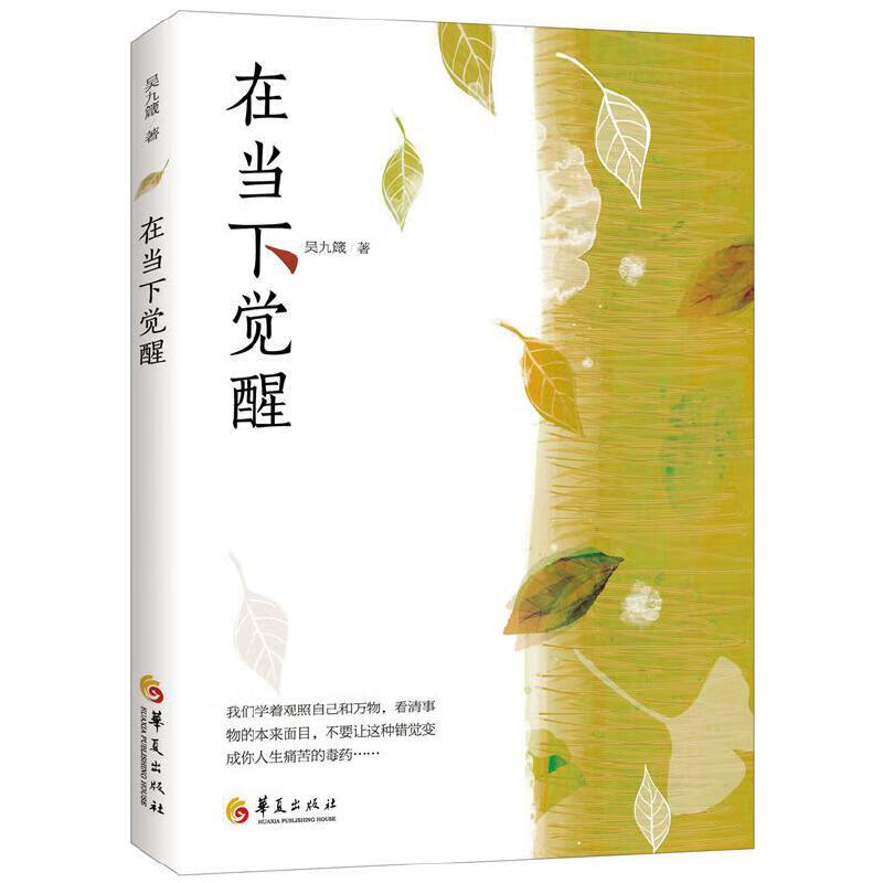 【现货】在当下觉醒