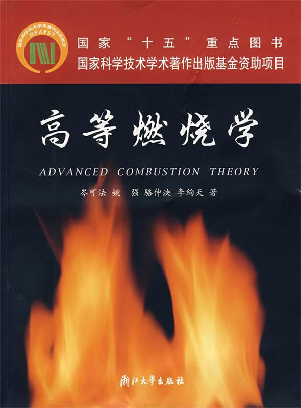 高等燃烧学 岑可法 等著