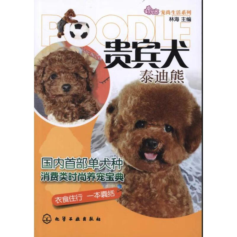 宠尚生活系列--贵宾犬:泰迪熊 林海