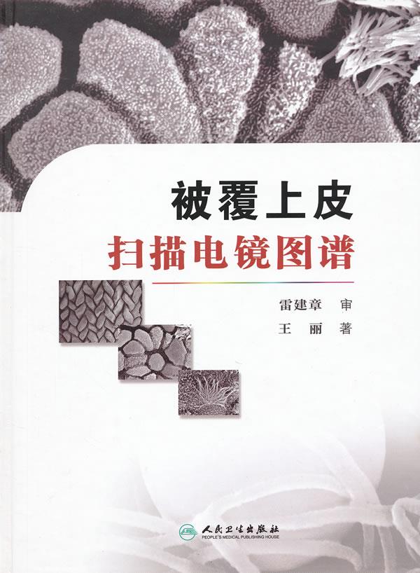 被覆上皮扫描电镜图谱