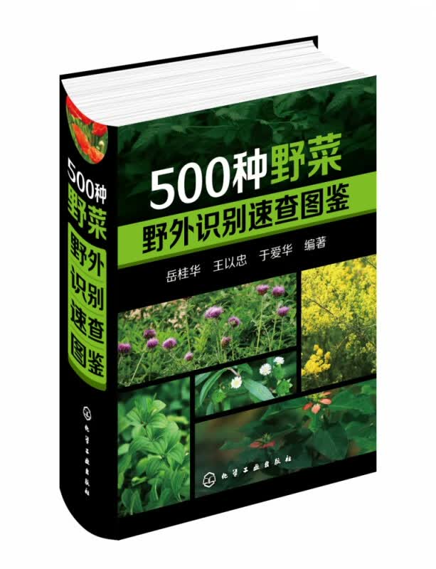 500种野菜野外识别速查图鉴(精)