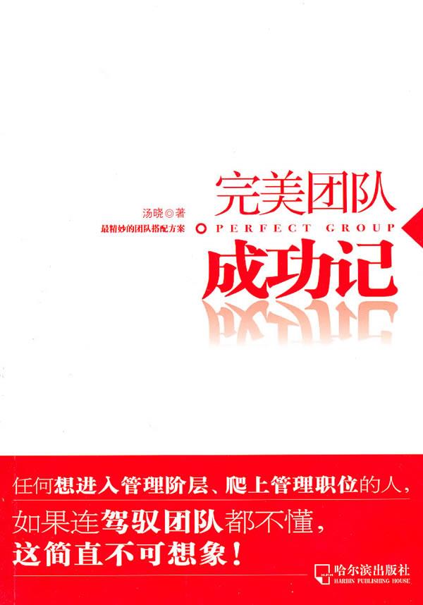完美团队成功记