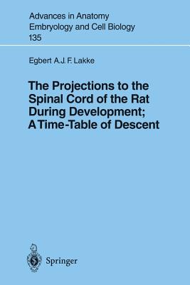 The Projections to the Spinal Cord of the Rat During Development: A Timetable of Descent