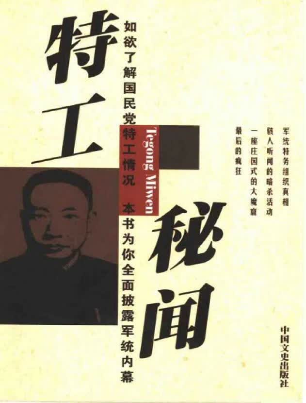 特工秘闻: 军统活动纪实 陈楚君【书】