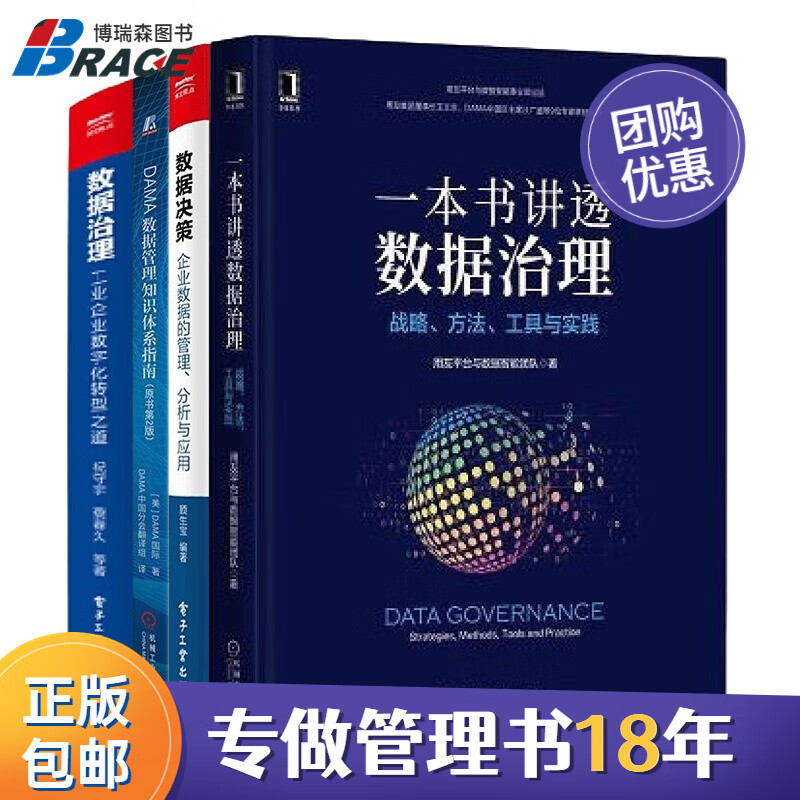 数据治理4本套：一本书讲透数据治理+数据决策+DAMA数据管理知识体系指南+数据治理/企业管理数字化书籍团购送人