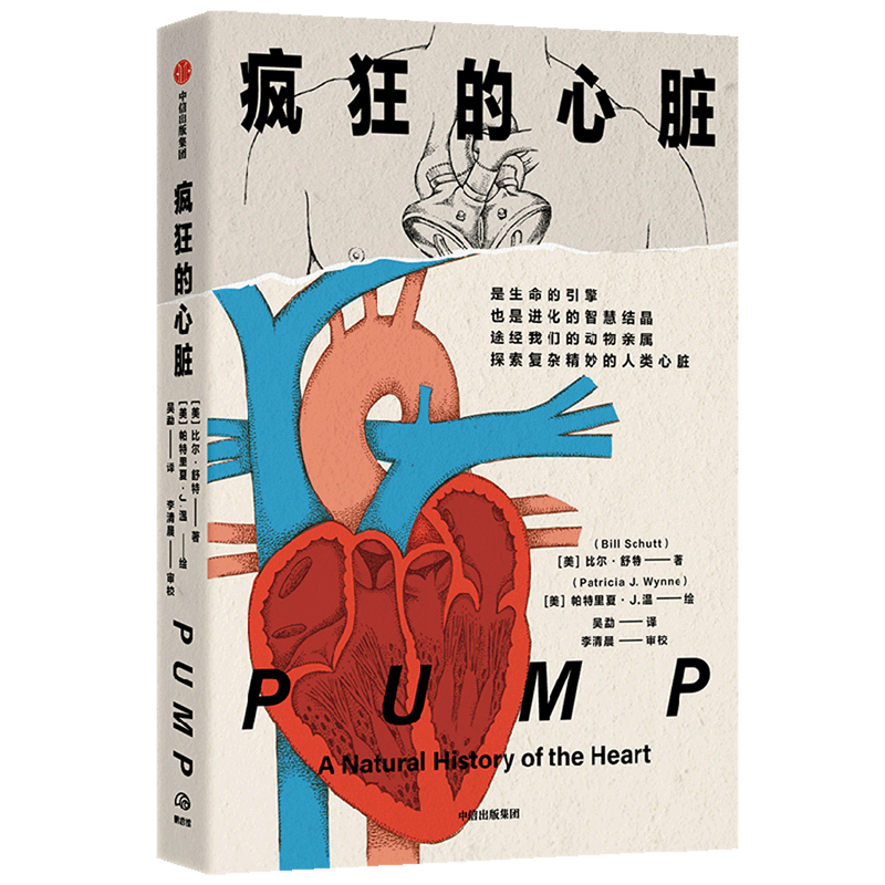 疯狂的心脏