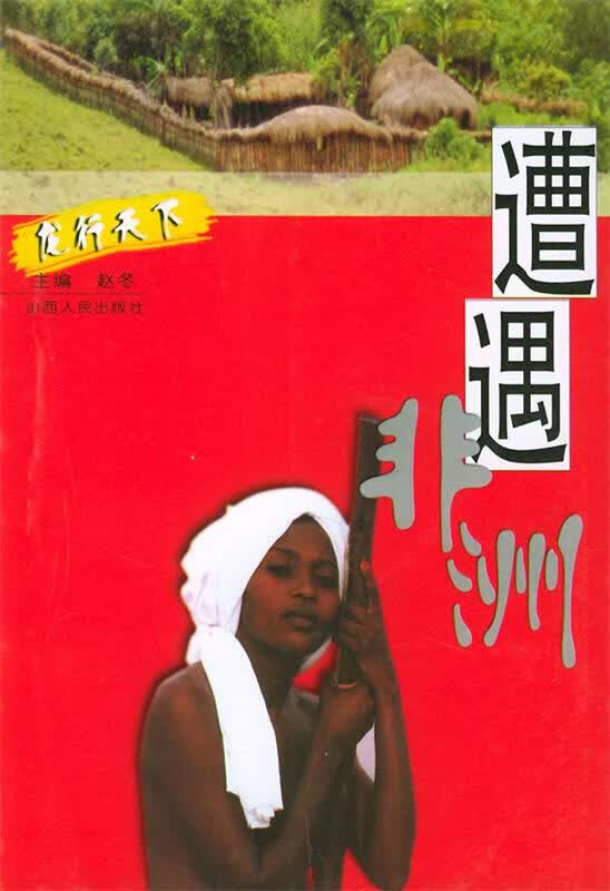 遭遇非洲 赵冬 主编