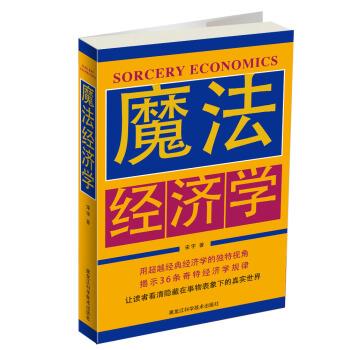 魔法经济学 宋于 著
