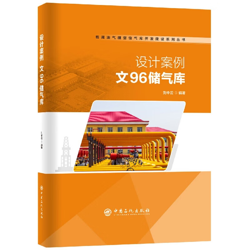 设计案例：文96储气库