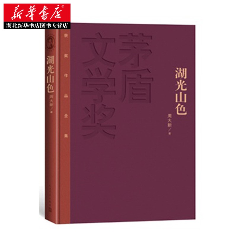 茅盾文学奖获奖作品集：湖光山色 周大新著 中国现当代文学作品 人民文学出版社 湖北书籍