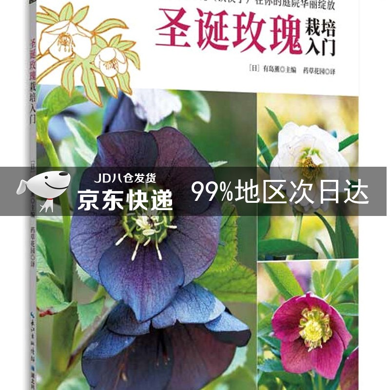 圣诞玫瑰栽培入门