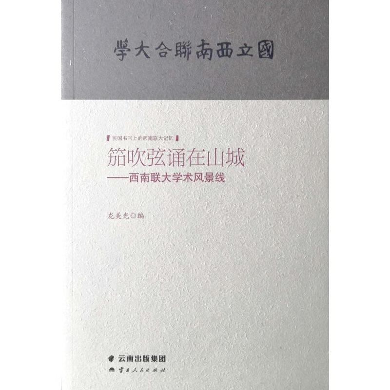 笳吹弦诵在山城:西南联大学术风景线 龙美光 书籍