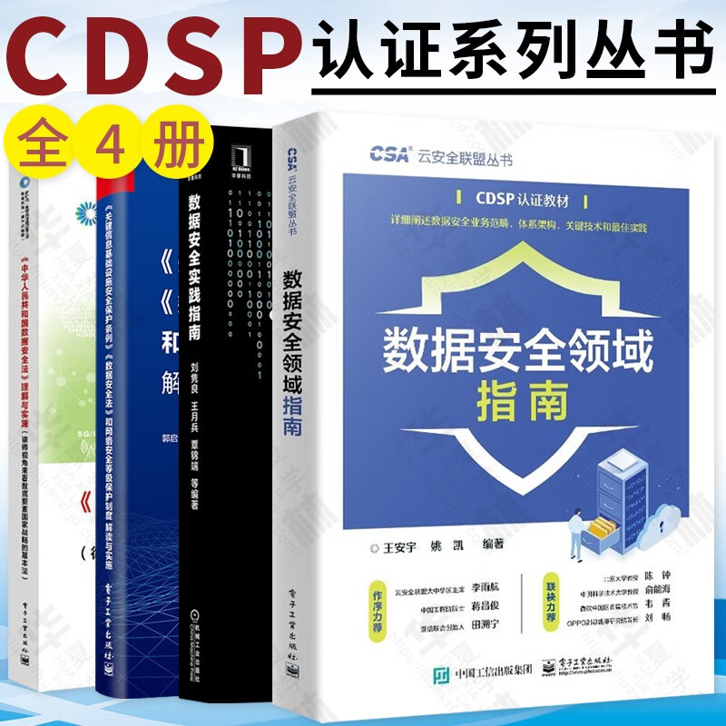 数据安全领域指南+实践指南+关键信息基础设施安全保护条例+中华人民共和国数据安全法 理解与实施 全4册 cdsp认证系列丛书