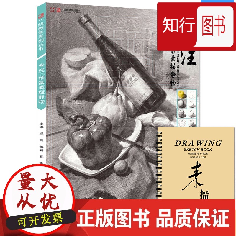 专注杨富素描静物 2018一线教学成辉