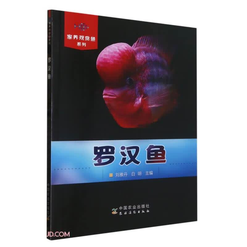 罗汉鱼/家养观赏鱼系列