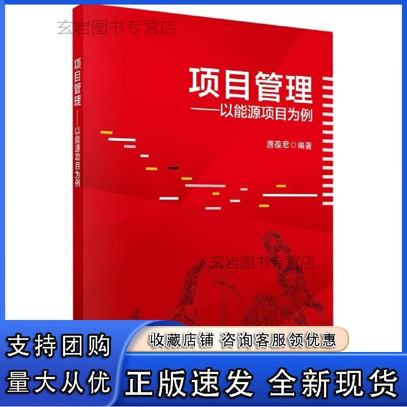 n项目管理--以能源项目为例