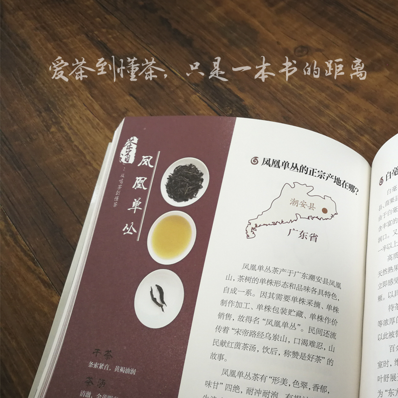 茶道:从喝茶到懂茶 王建荣 主编 著 烹饪