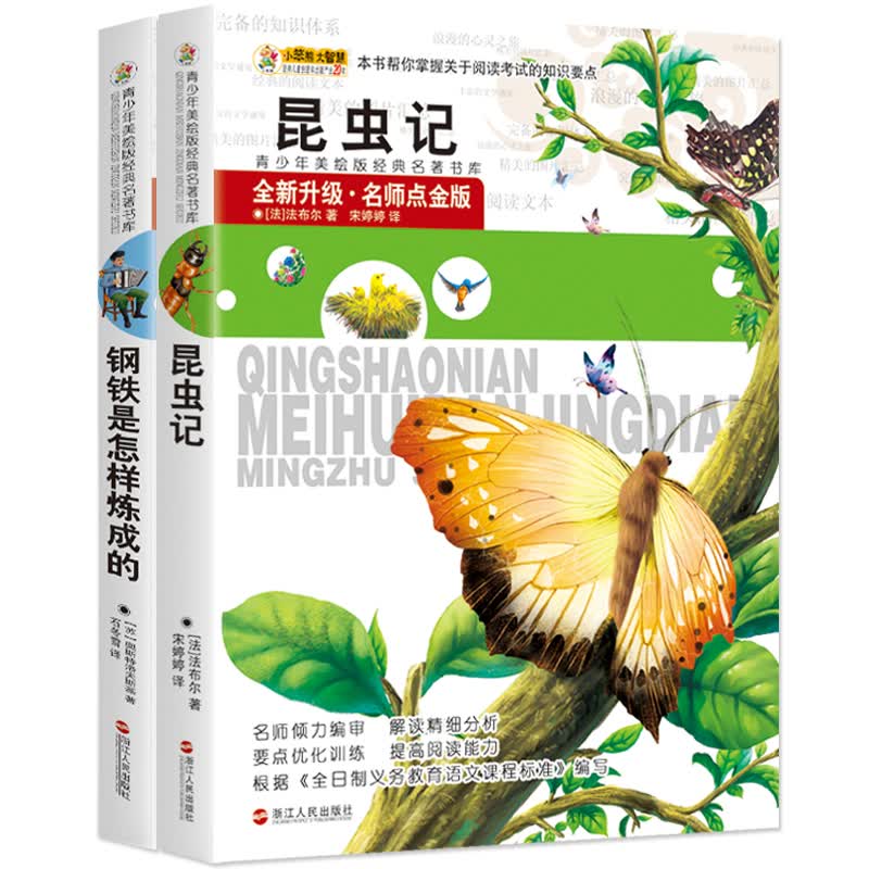 小笨熊 八年级必读 美绘版： 小学语文教科书必读书目 昆虫记+钢铁是怎样炼成的（套装共2册）