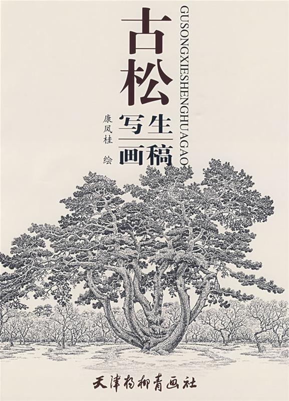 古松写生画稿 康凤桂 绘
