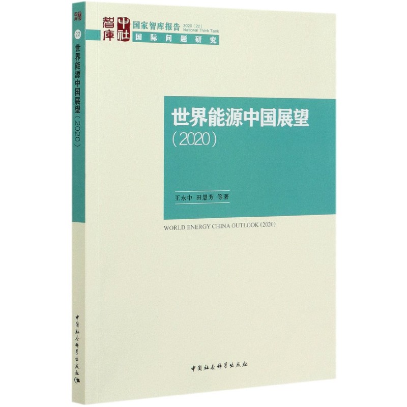 世界能源中国展望(2020)/国家智库报告