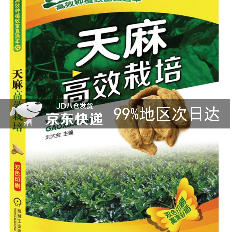 天麻高效栽培