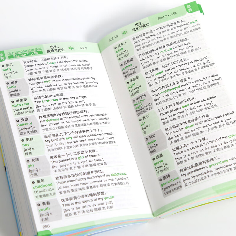 会中文就会说英文的书英语单词马上说零基础教材学习书籍 小学初高中三年级四五六日常交际语法从入门到精通
