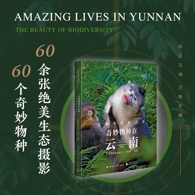 奇妙物种在云南：生物多样性之美（60个代表性奇妙物种，60余张绝美生态摄影，彩云之南，万物可爱）