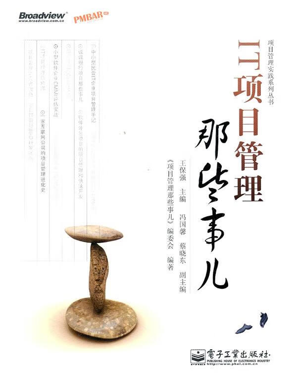 IT项目管理那些事儿【，放心购买】