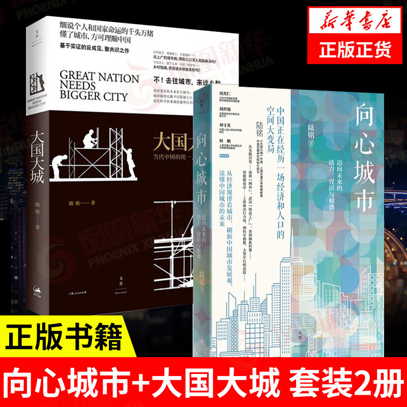 【陆铭套装2册】向心城市+大国大城