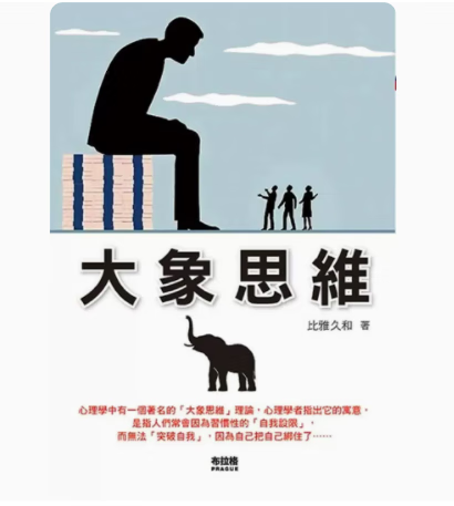 台版 大象思维 布拉格文创社 比雅久和 人际关系沟通个人成长心理励志书籍