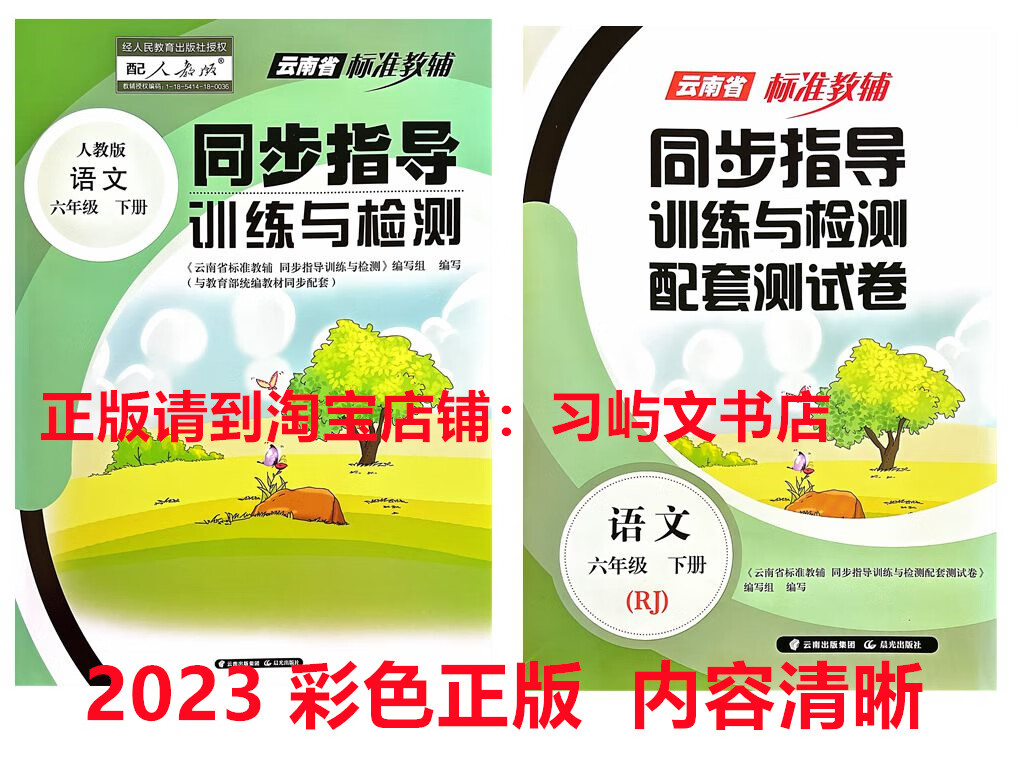 2023版！可选！小学六6年级下册训练与检测+试卷/ 书+试卷 六年级下